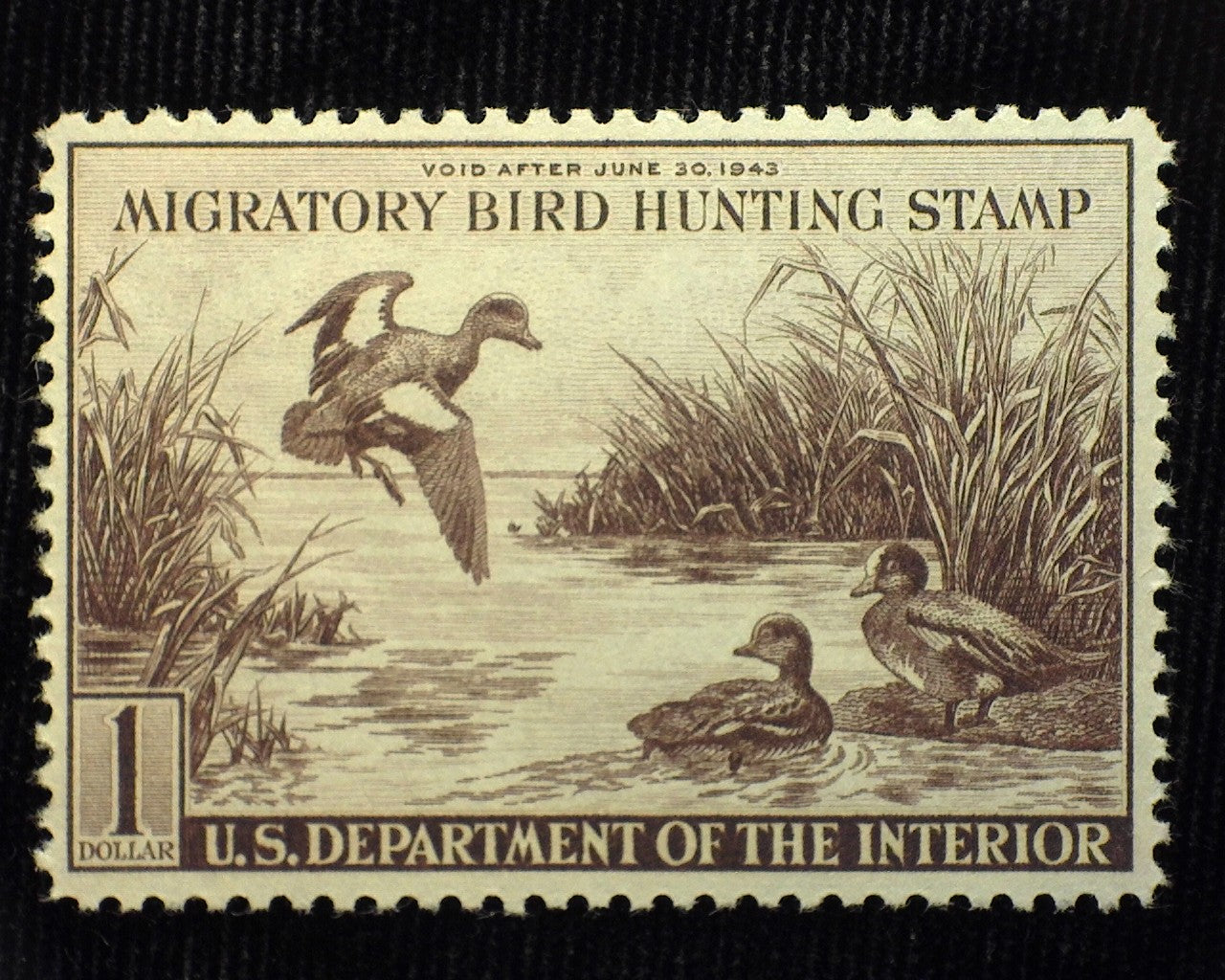 Newly Added Stamps — Huntington Stamp & Coin Shop