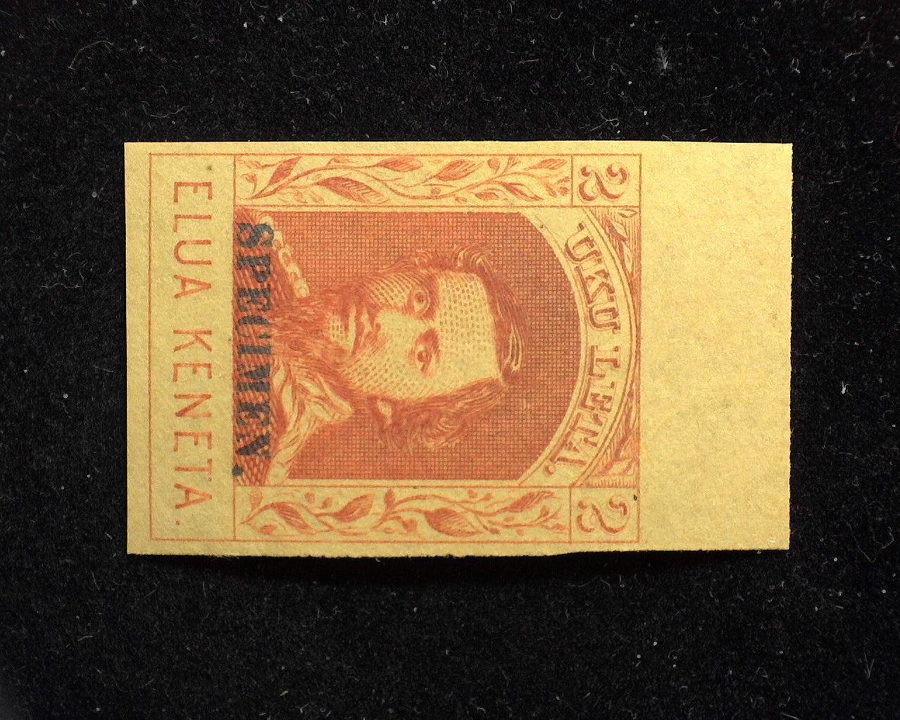 #505 Hawaii Mint XF NH Margin copy "specimen" overprint. Slightly glaz ...