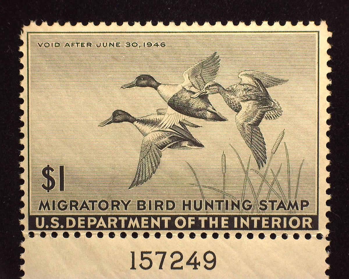 #RW12 1 Dollar Hunting Permit Fresh PL# single. Mint VF NH US Stamp ...